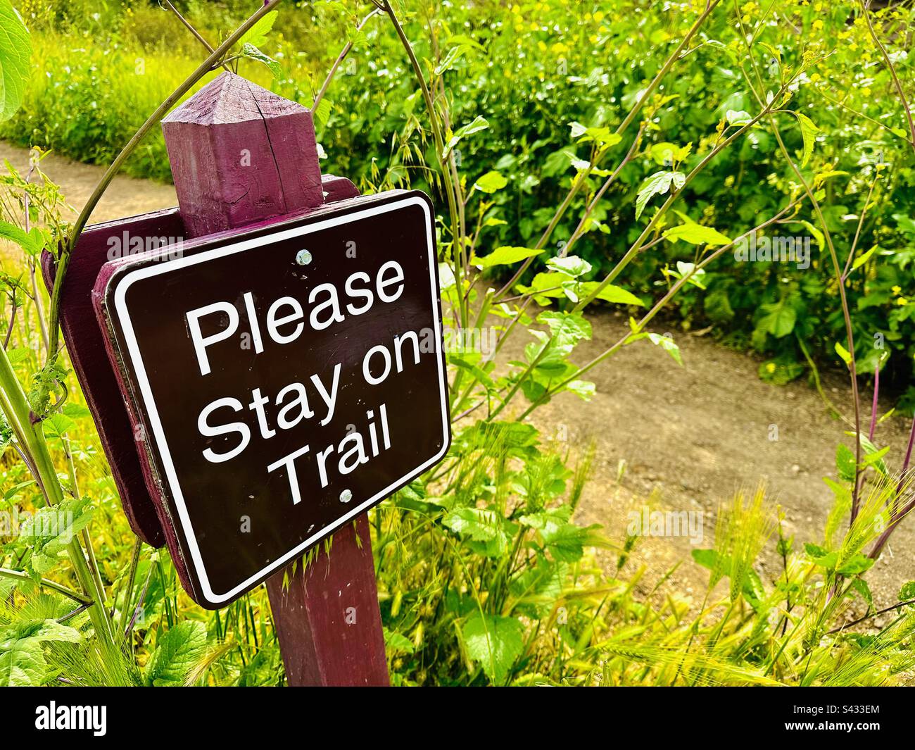 Stay on the path sign hi-res stock photography and images - Alamy
