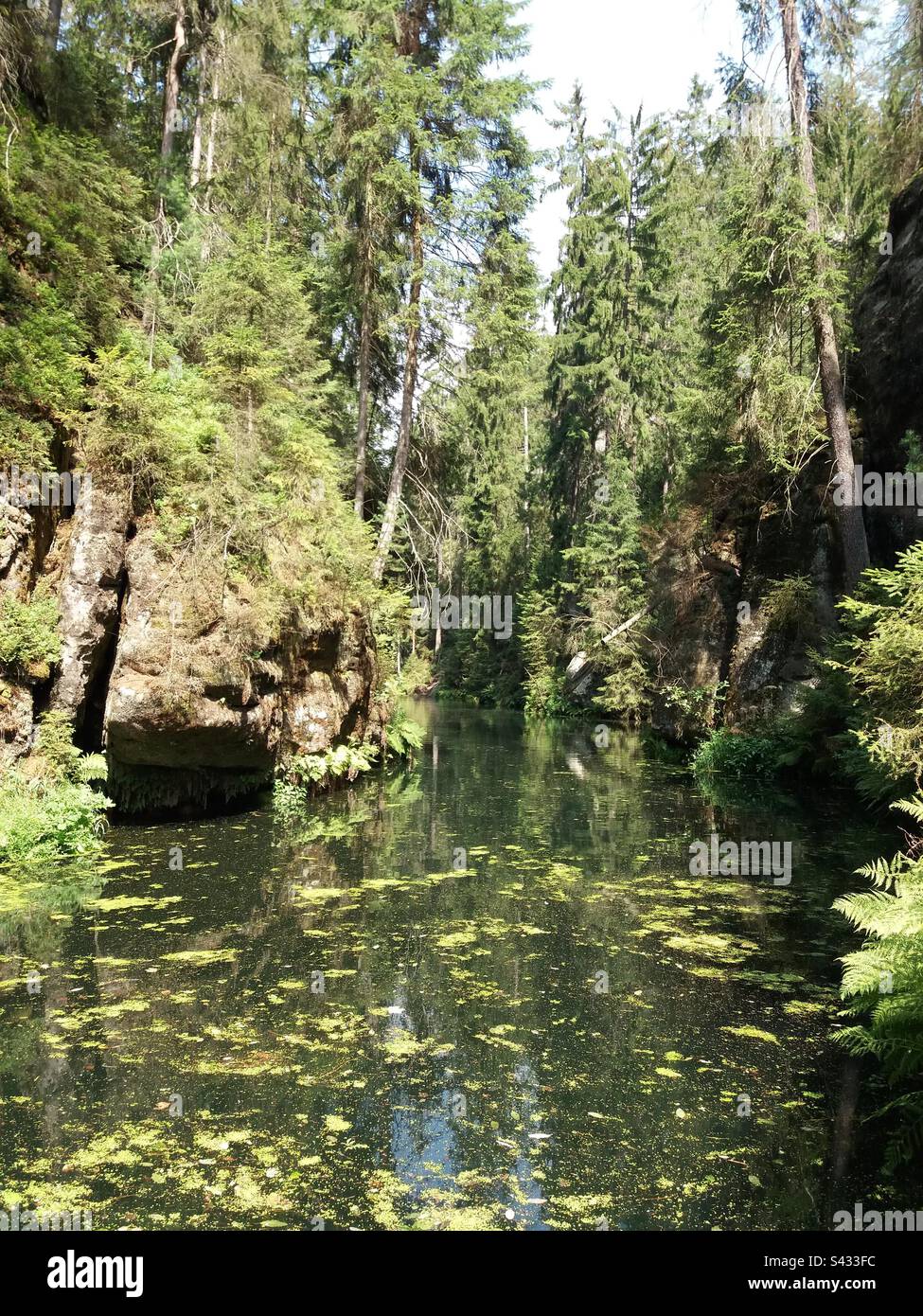 Klam hi-res stock photography and images - Alamy