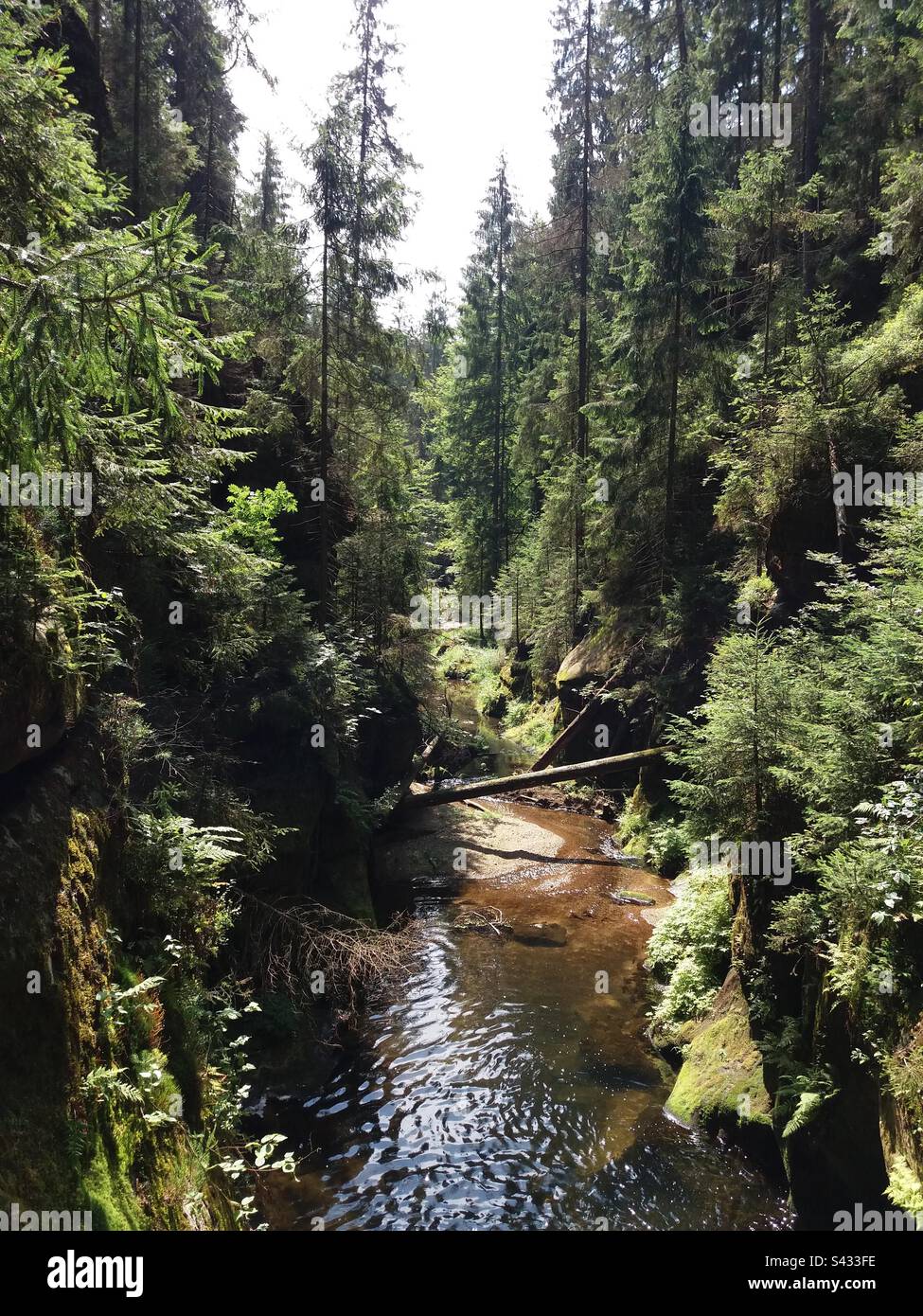 Klam hi-res stock photography and images - Alamy