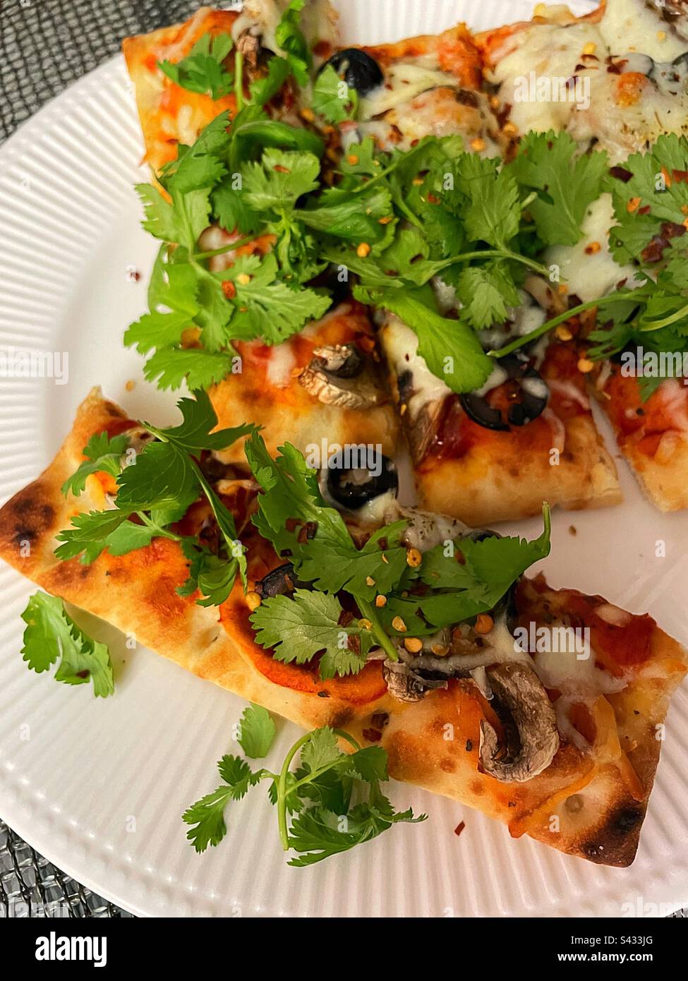 Flat lay of a gourmet homemade pizza with cilantro garnish, 2023, USA ...