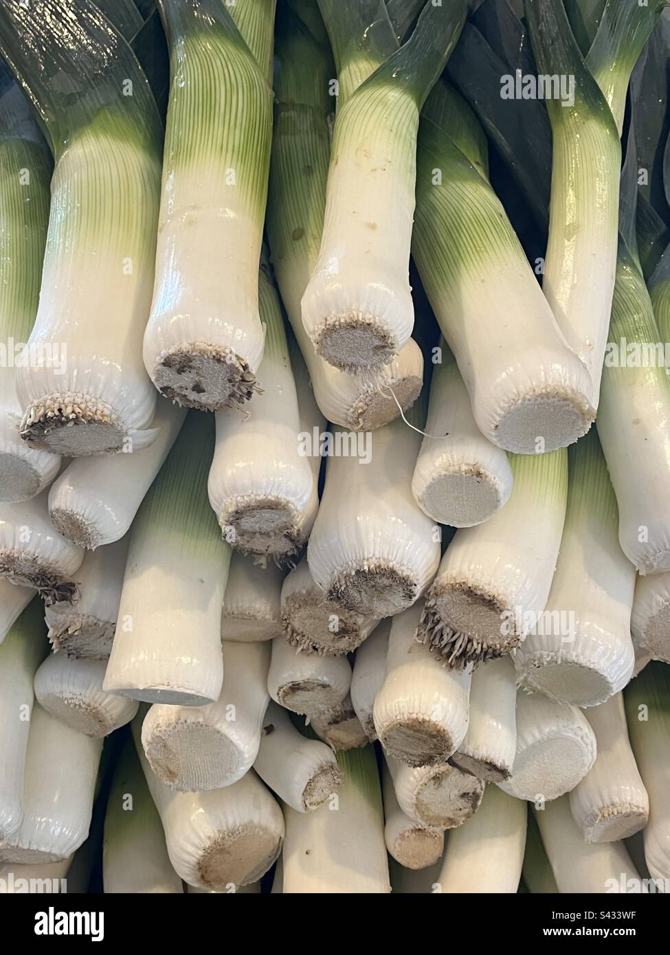 Leeks close up hi-res stock photography and images - Alamy