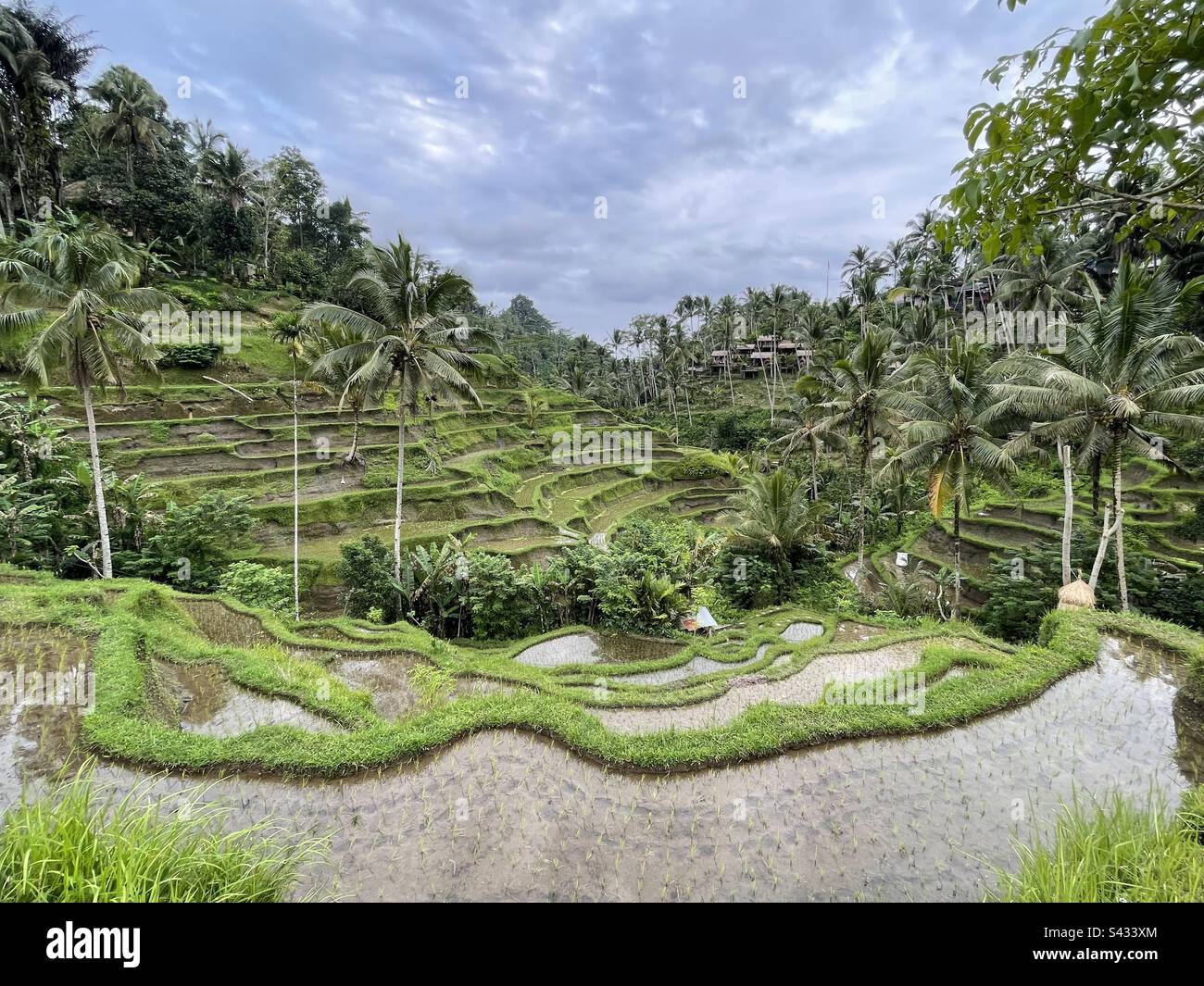 Clouds and terraces hi-res stock photography and images - Alamy