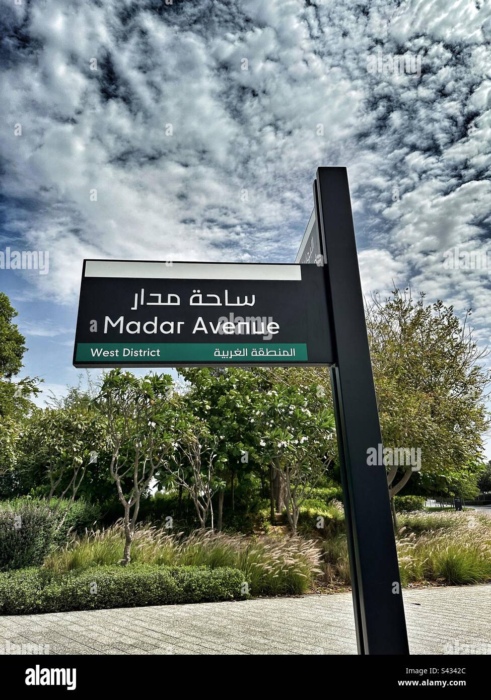 Madar hi-res stock photography and images - Alamy