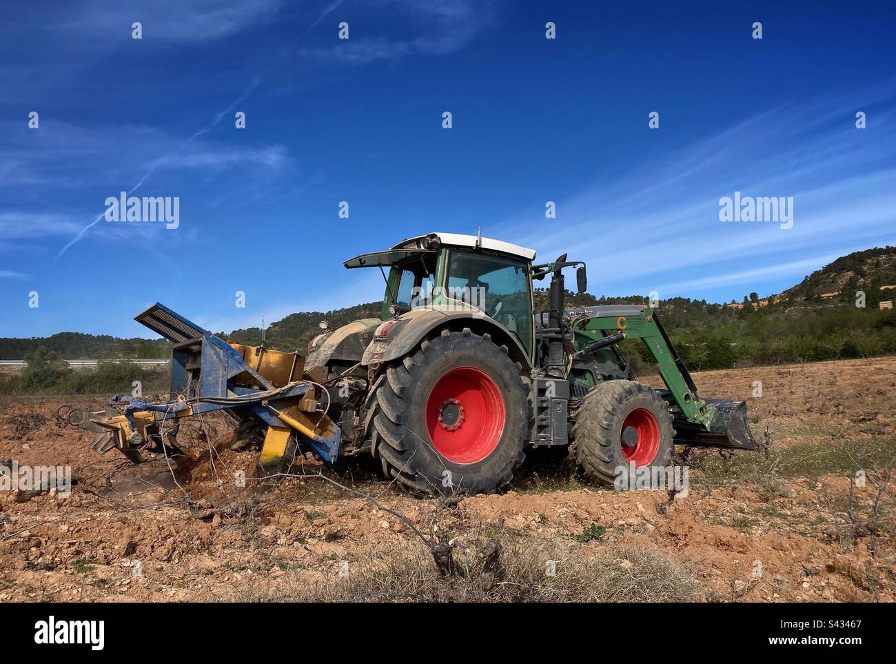 Removing grapevines in an old vineyard, Catalonia, Spain Stock Photo ...
