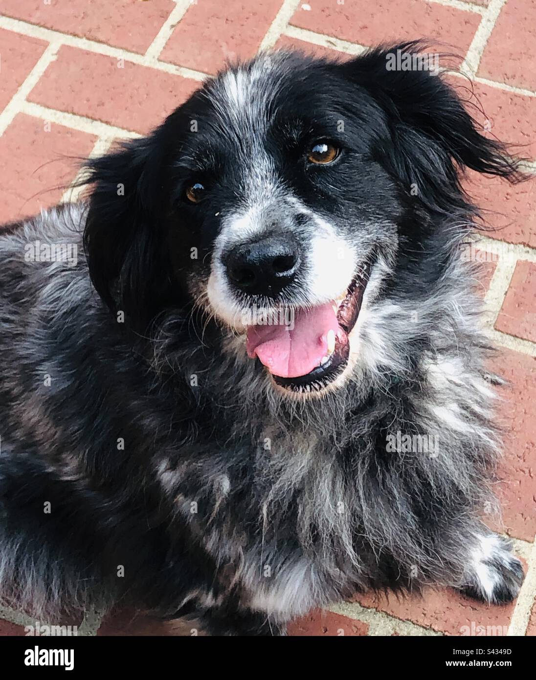 Alamy istock hi-res stock photography and images - Alamy