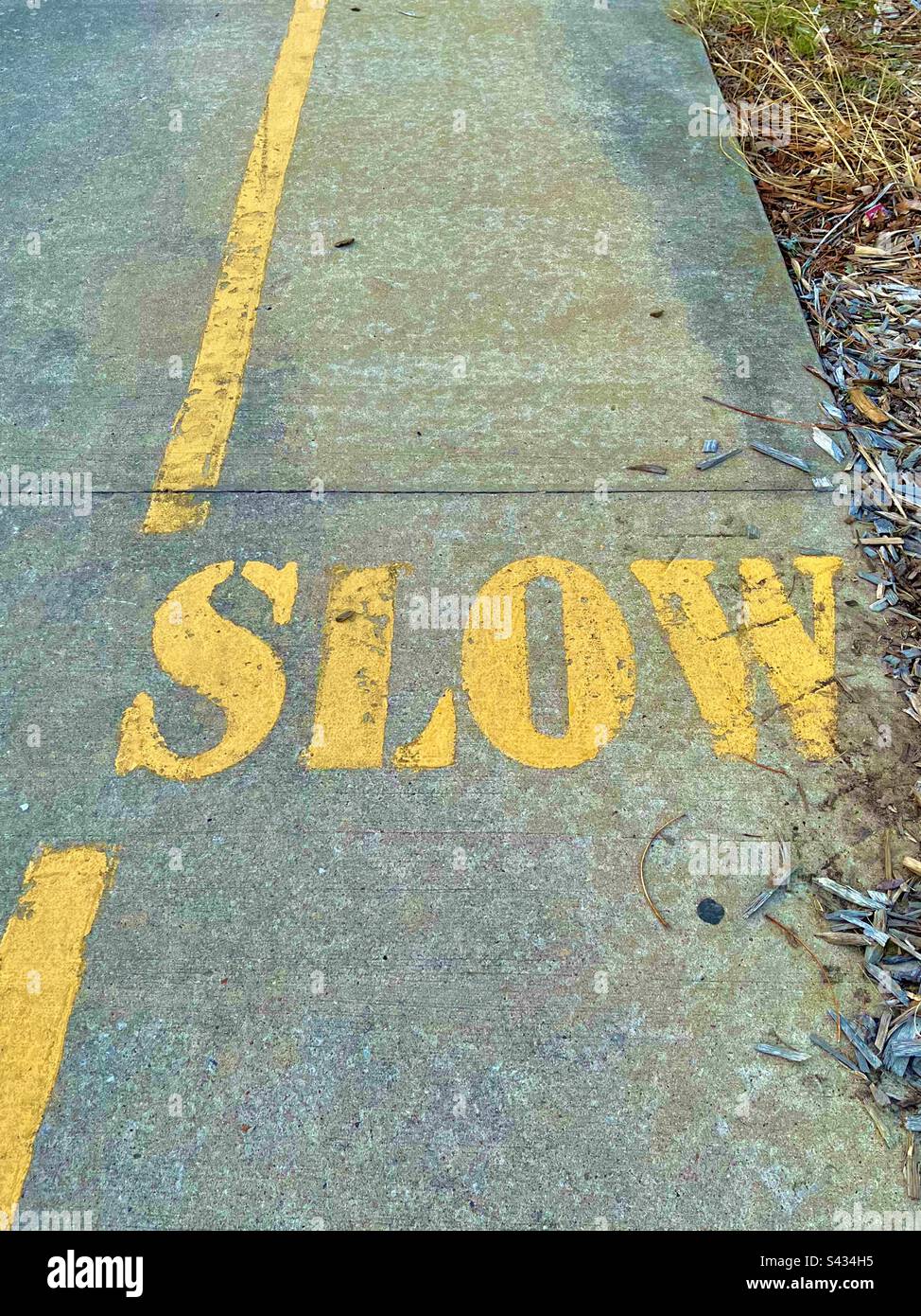 Roadway with diagonal yellow line on left, says SLOW in lower portion ...