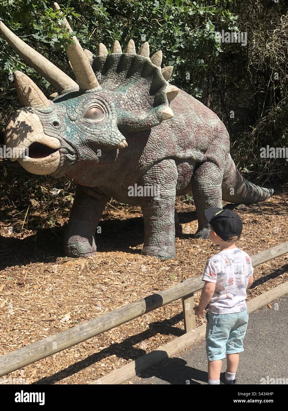 Dino park hi-res stock photography and images - Alamy