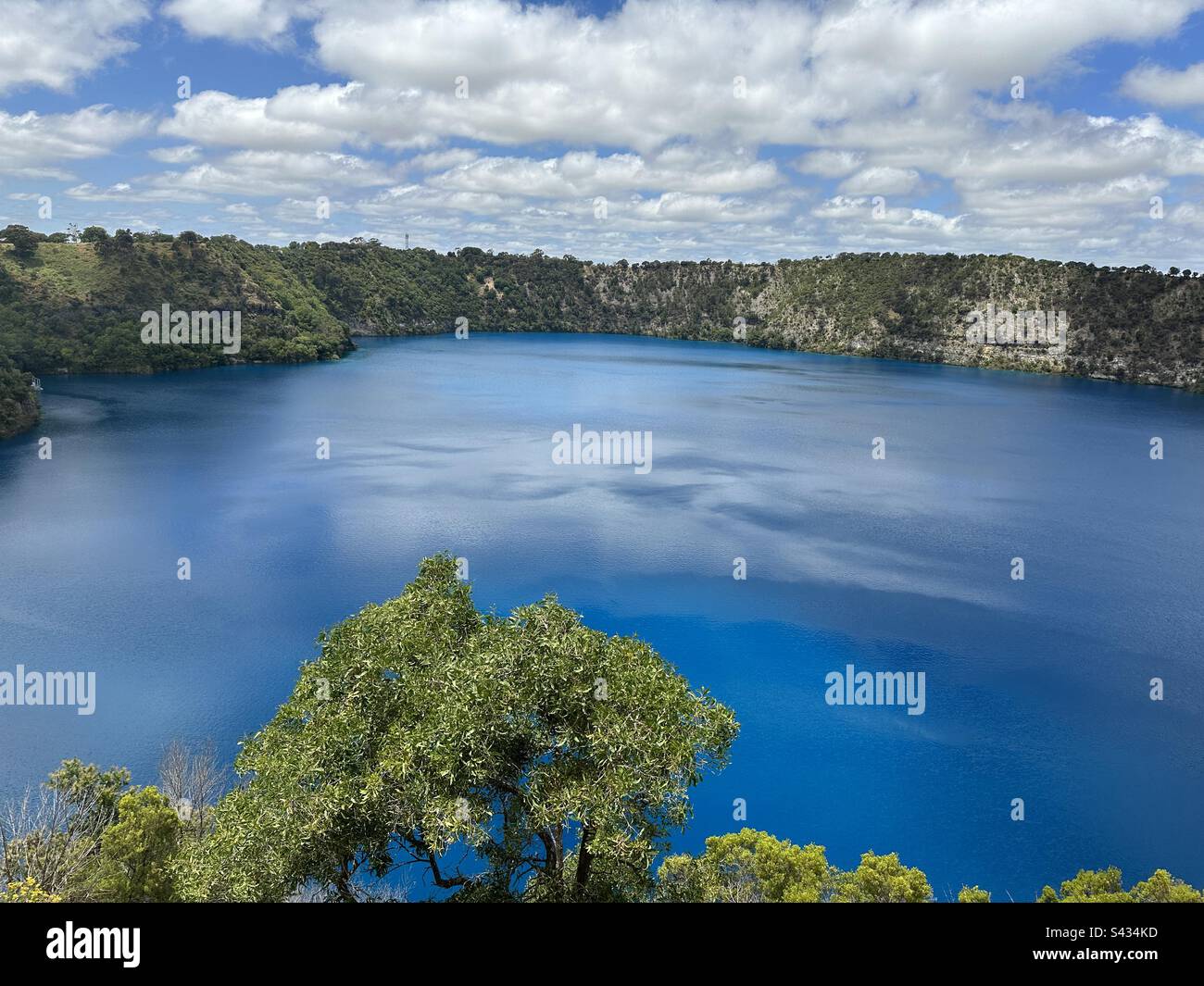 Blue lake with trees hi-res stock photography and images - Alamy