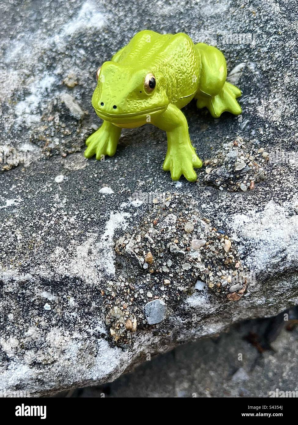 Toy frog sits on rock. Includes print space Stock Photo - Alamy
