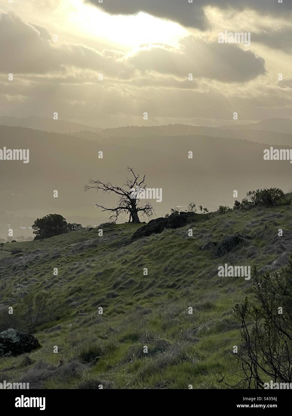 Clouds tree hill hi-res stock photography and images - Alamy
