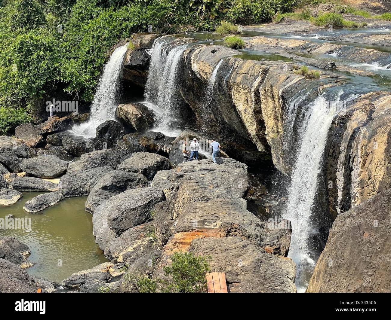 Hly hi-res stock photography and images - Alamy