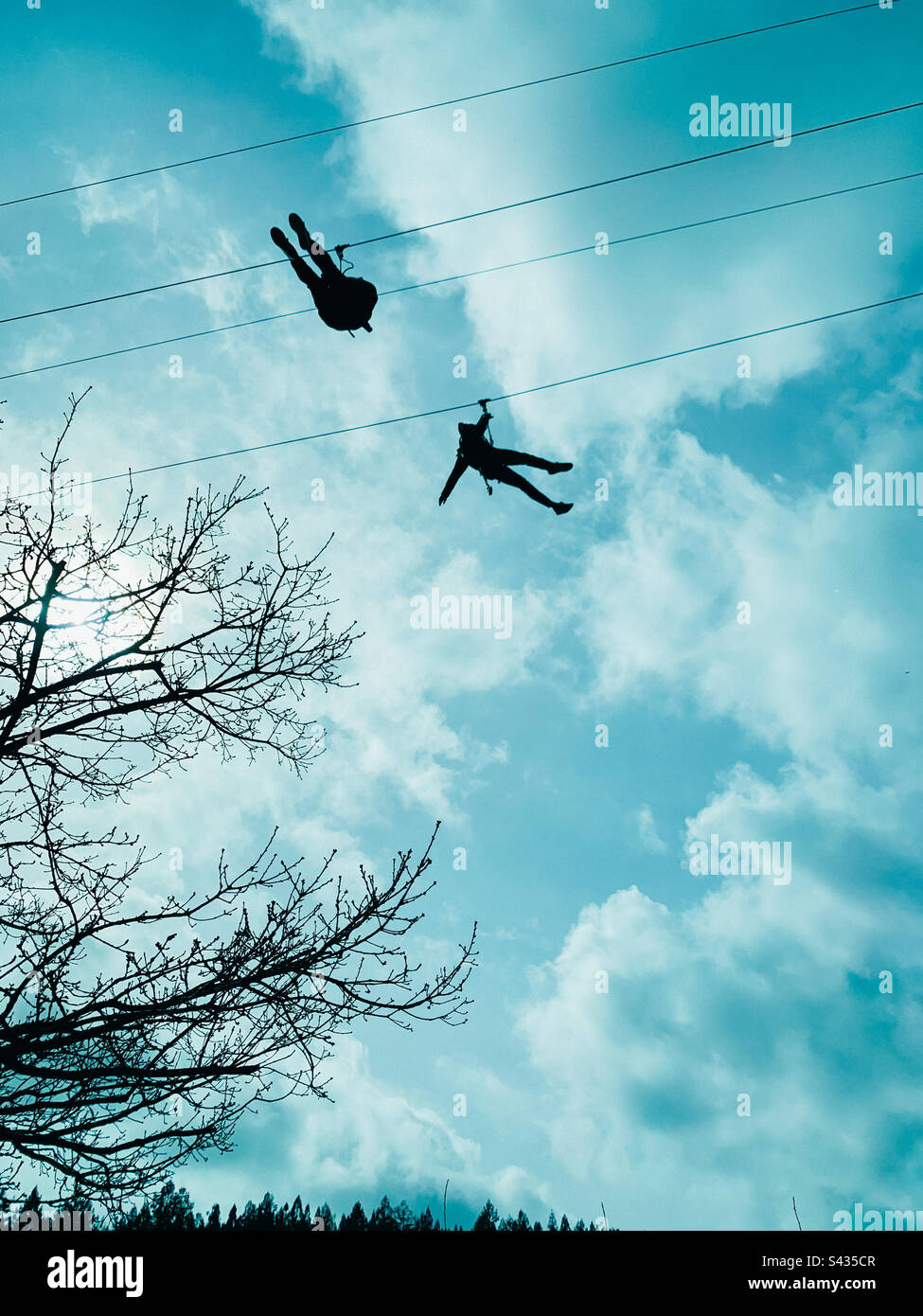 Two adults on a zip wire ride Stock Photo - Alamy