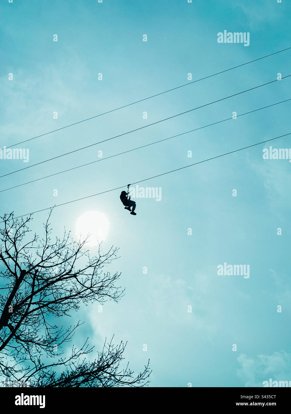 Adult having fun on a zip wire ride Stock Photo - Alamy