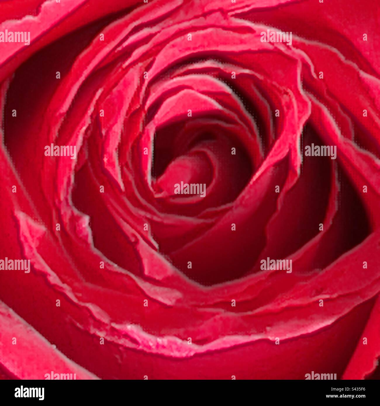 Love passion hi-res stock photography and images - Alamy