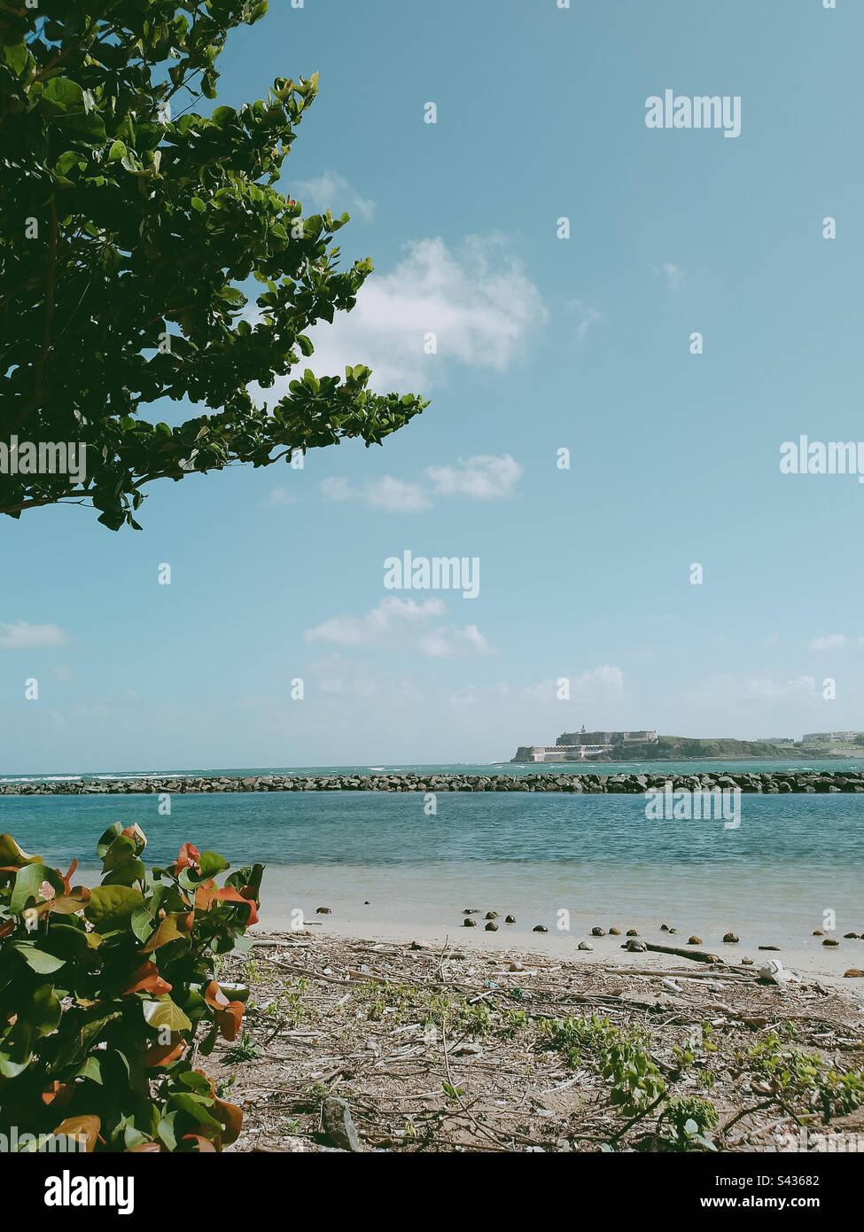 Puerto rican landscape hi-res stock photography and images - Alamy