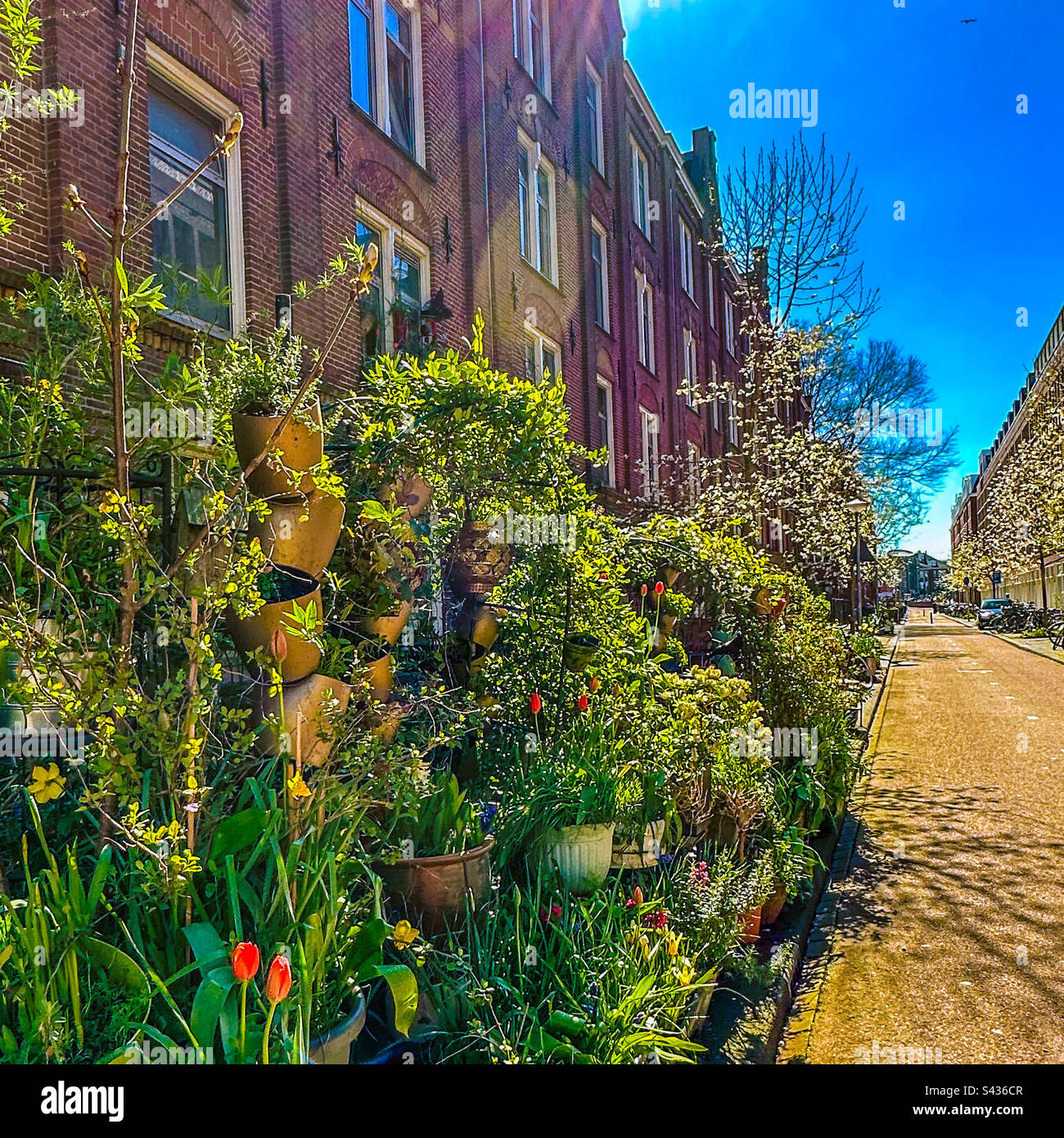 Flower Street Urban Gardens | Flower Street Urban Gardens Phoenix ...