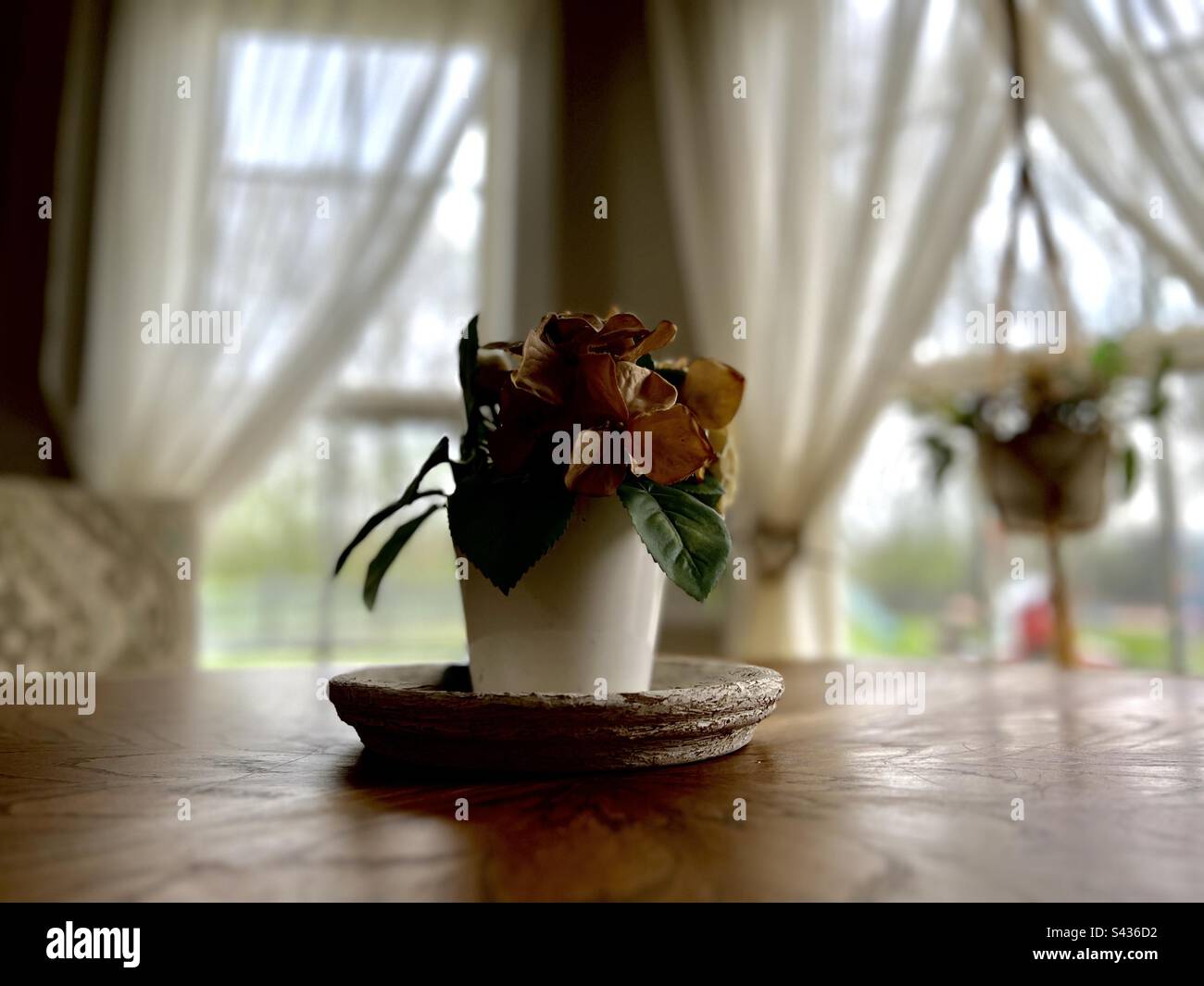 Home decor table hi-res stock photography and images - Alamy