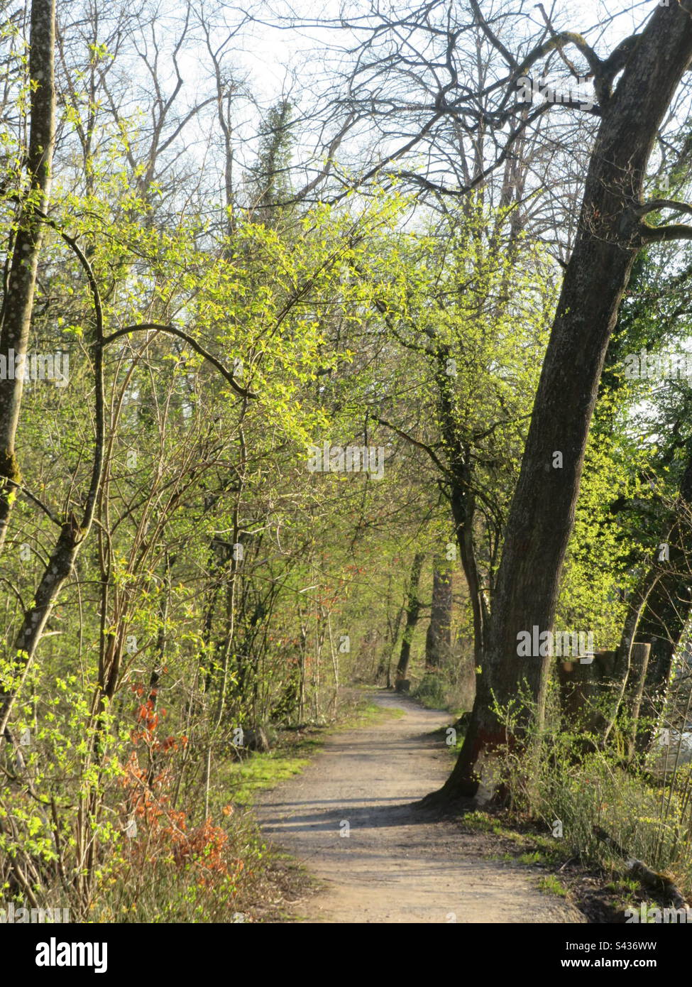 Natur trail hi-res stock photography and images - Alamy