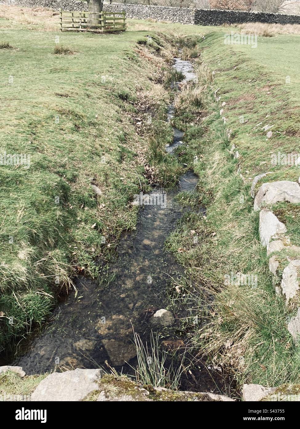 Stream in park hi-res stock photography and images - Alamy