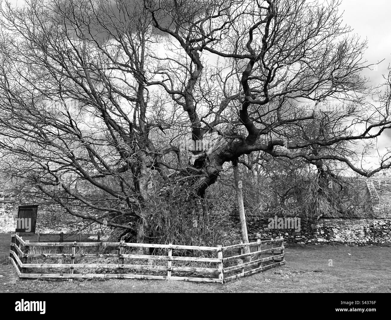 Propped up hi-res stock photography and images - Alamy