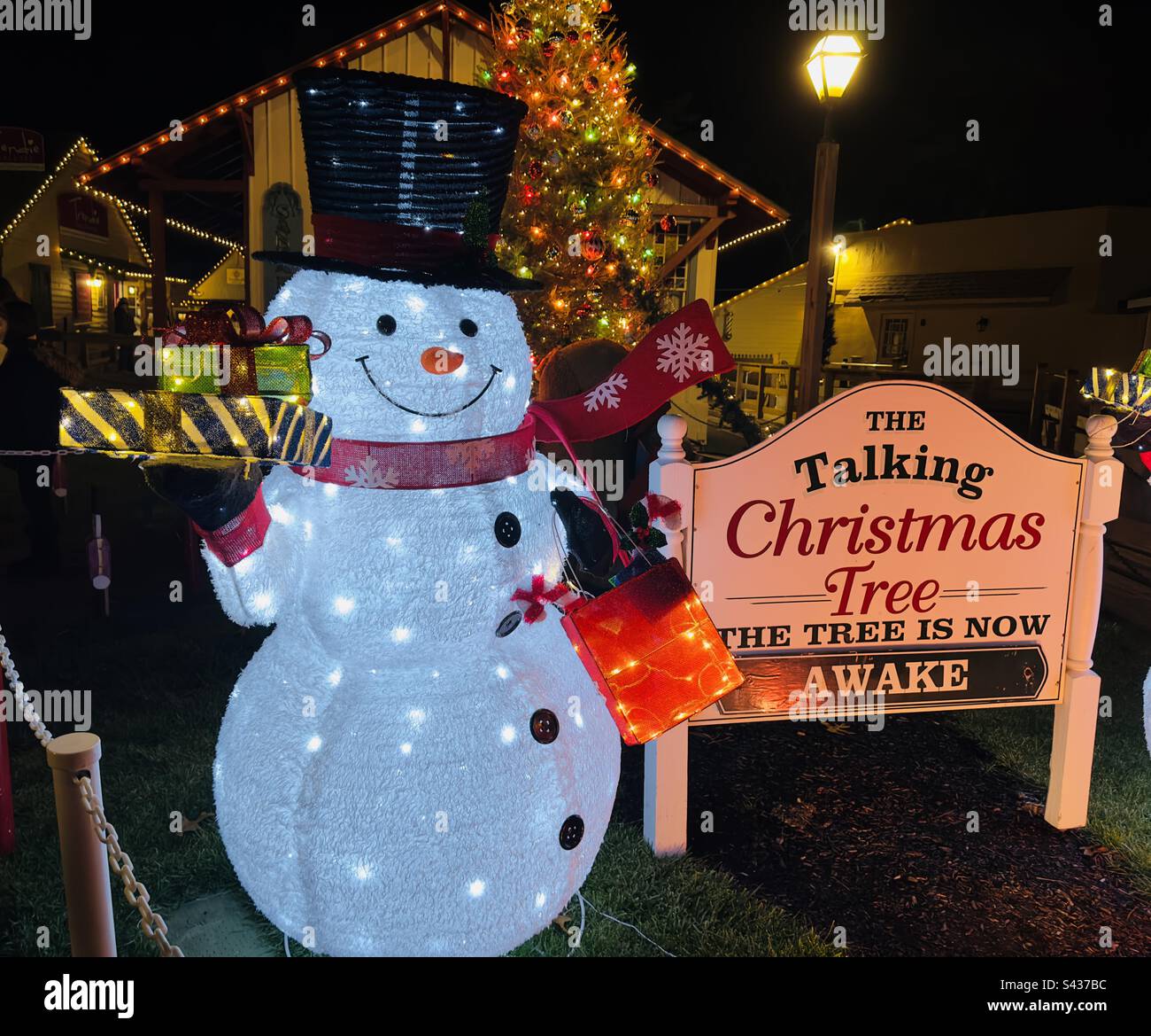 Talking the tree hi-res stock photography and images - Alamy