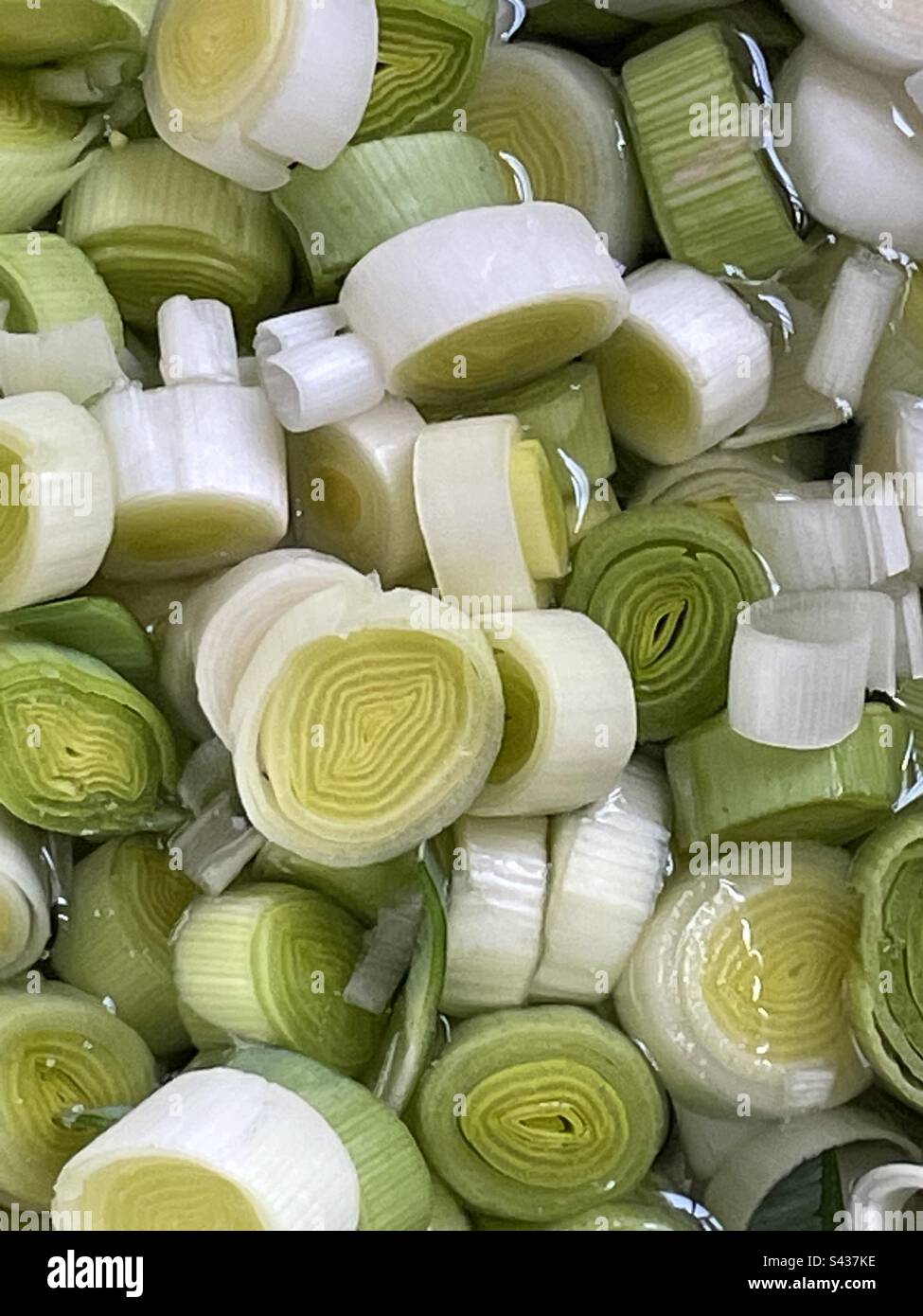 Leek water hi-res stock photography and images - Alamy