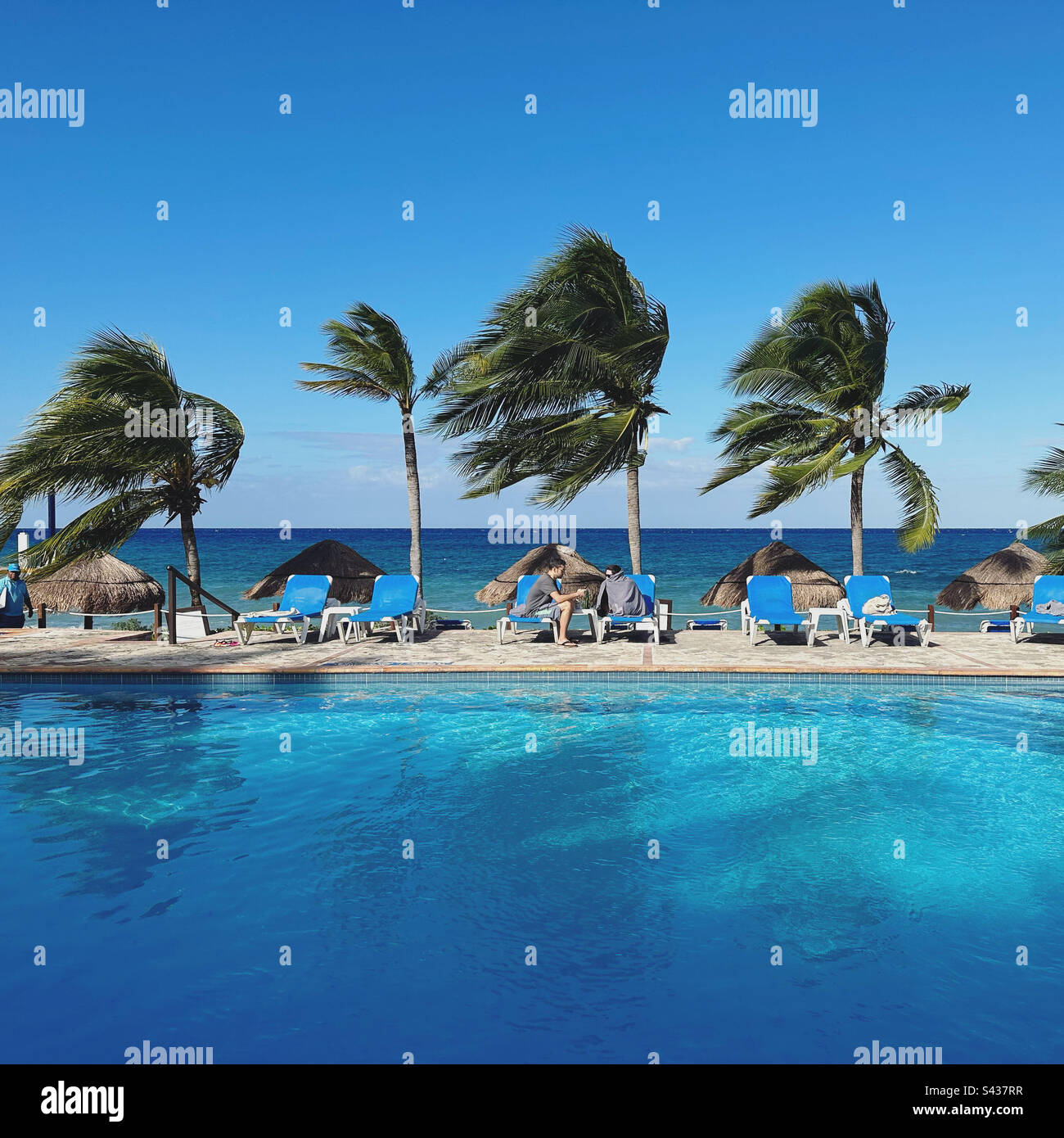 January, 2023, Swimming pool, Nachi-Cocom Beach Club, Cozumel, Quintana ...