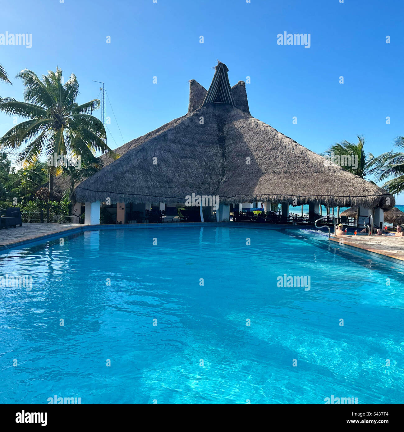 January, 2023, Swimming pool, Nachi-Cocom Beach Club, Cozumel, Quintana ...