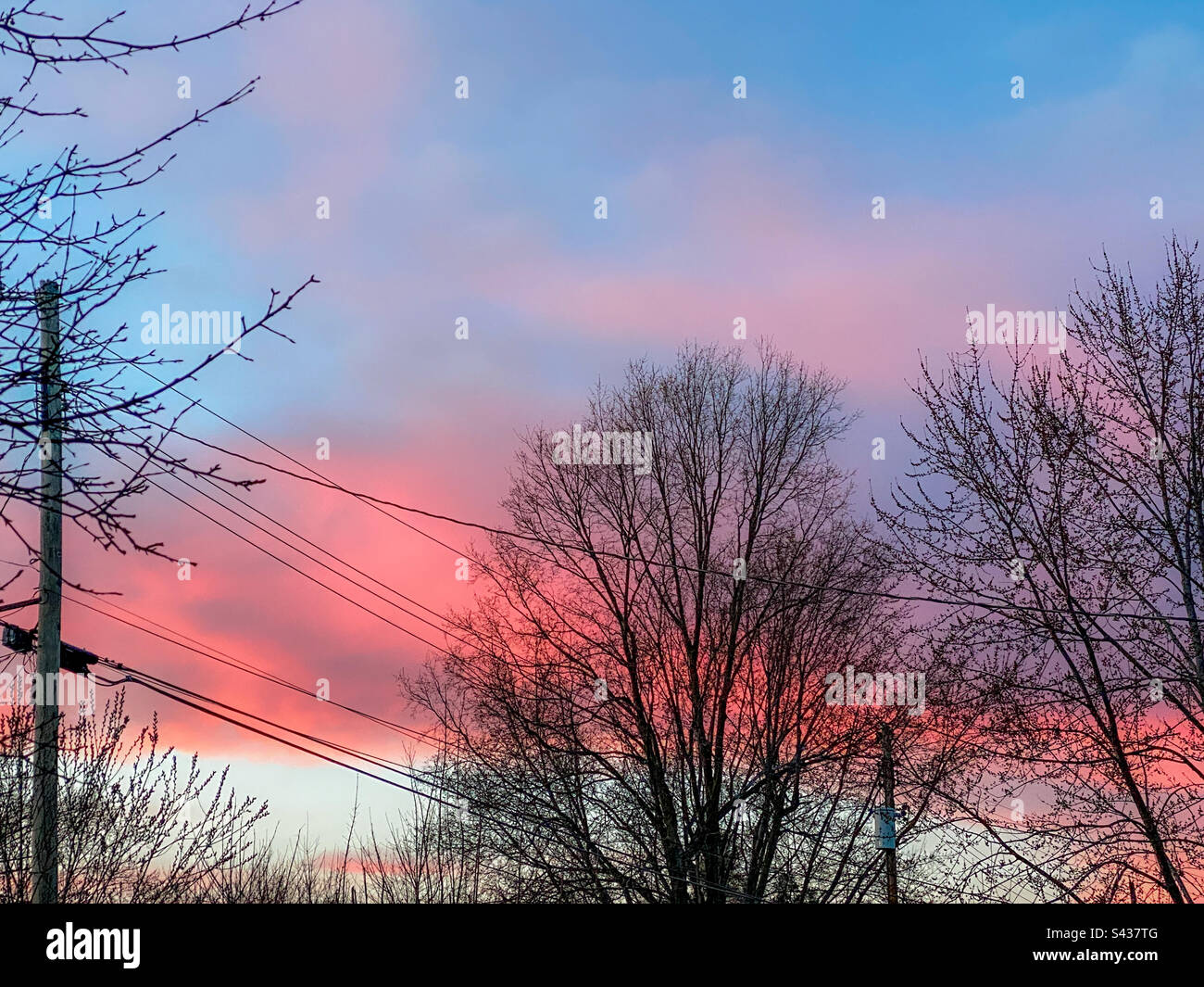 Backyard sunset hi-res stock photography and images - Alamy