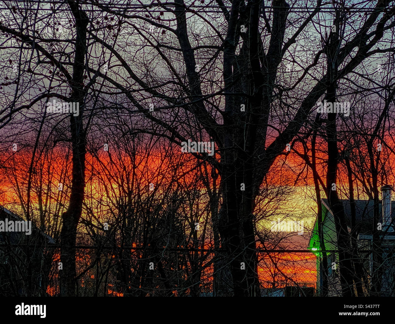 Layered trees hi-res stock photography and images - Alamy