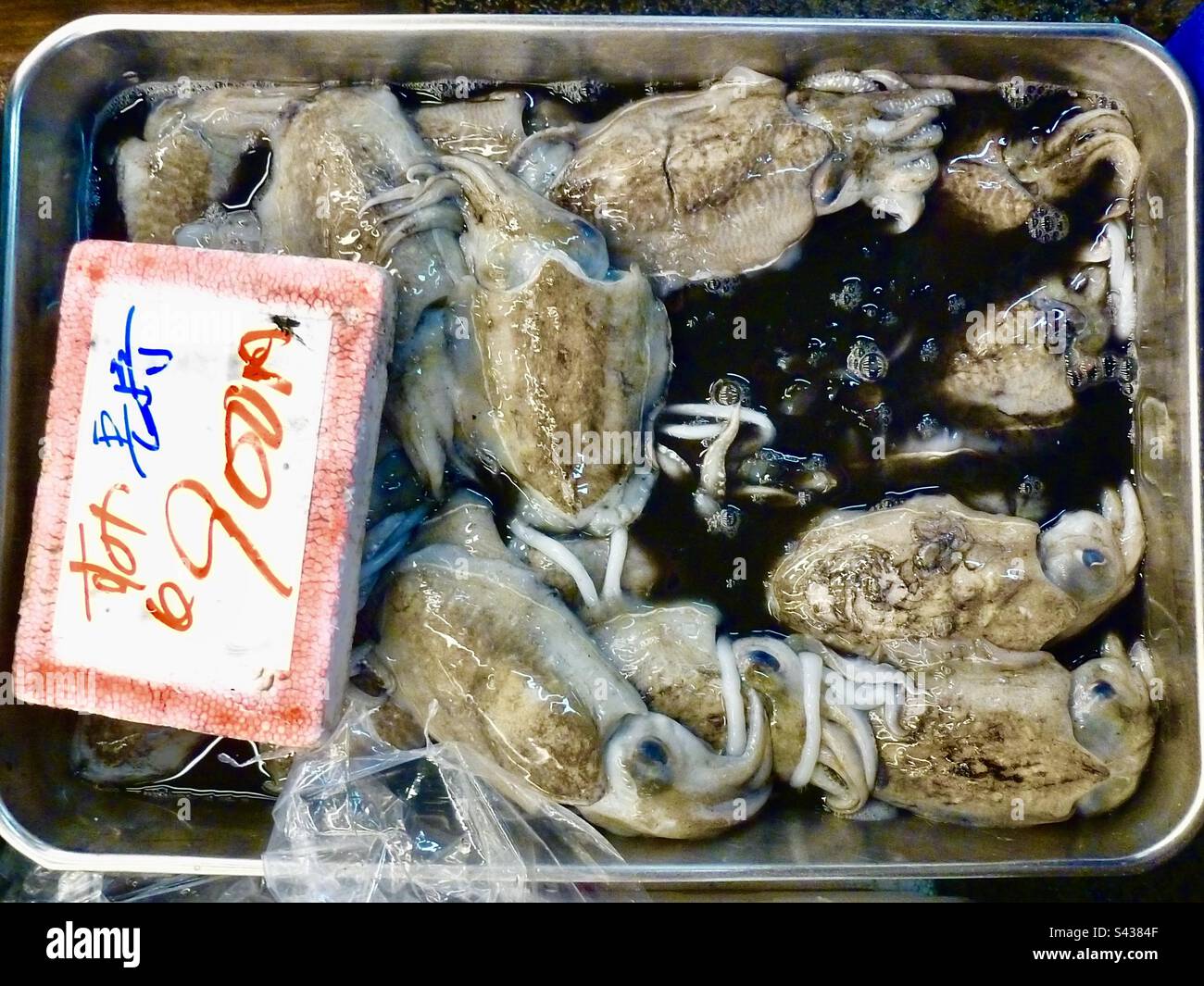Tray of squid lying in squid ink at a Japanese seafood and fish market ...