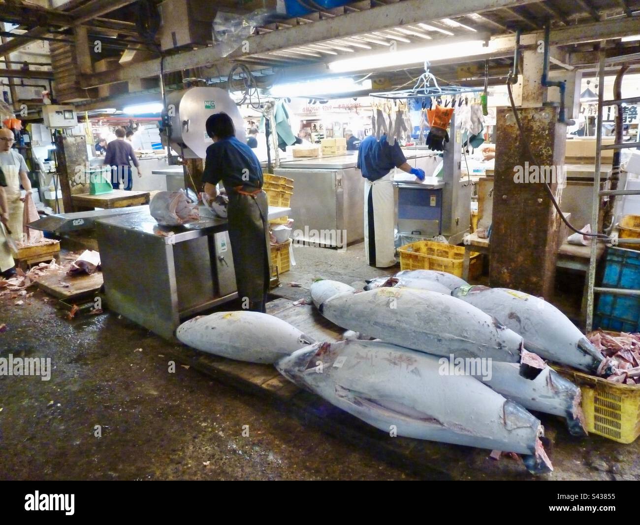 Frozen tuna fish hi-res stock photography and images - Alamy