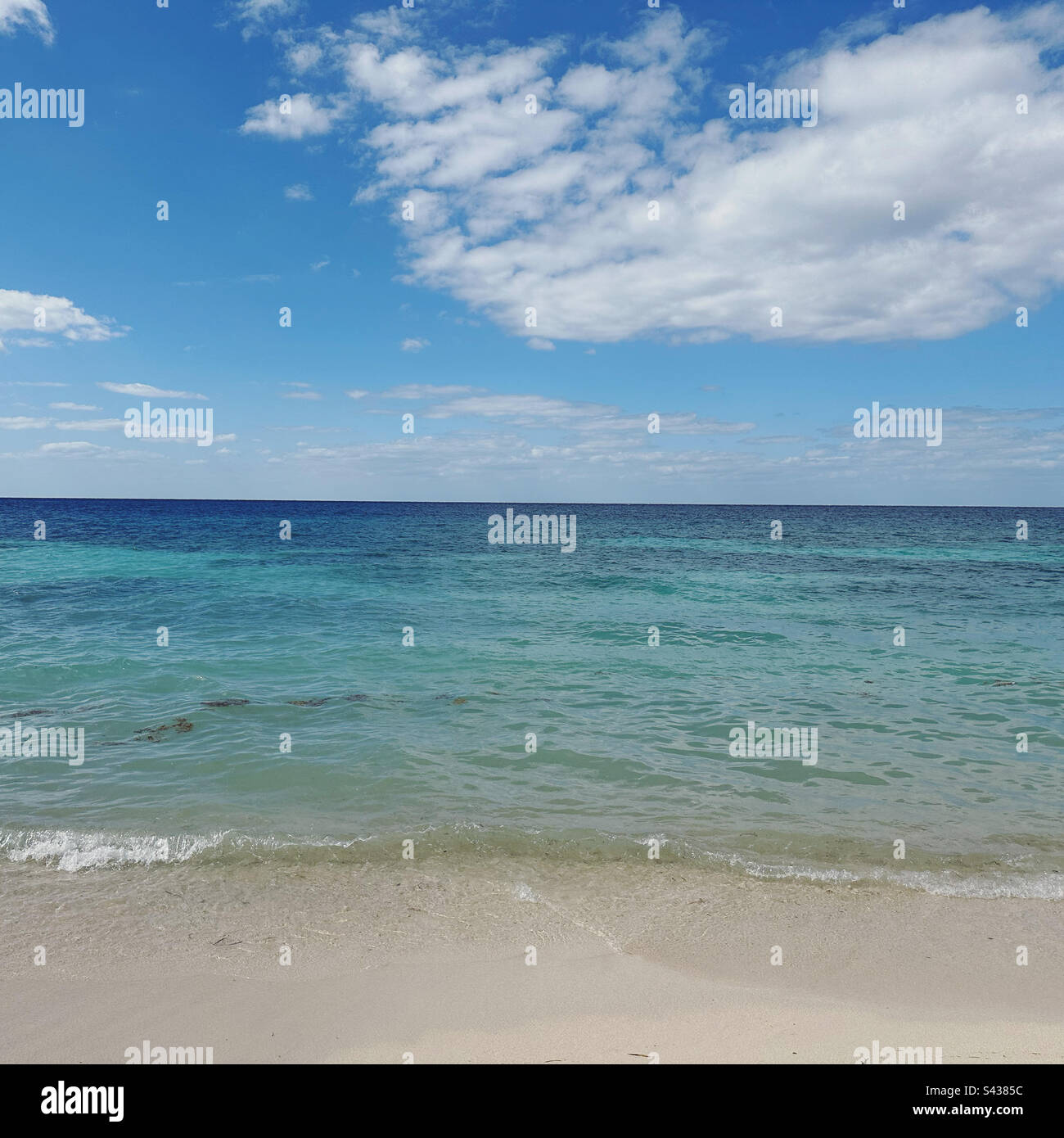 January, 2023, Nachi-Cocom Beach Club, Cozumel, Quintana Roo, Mexico ...