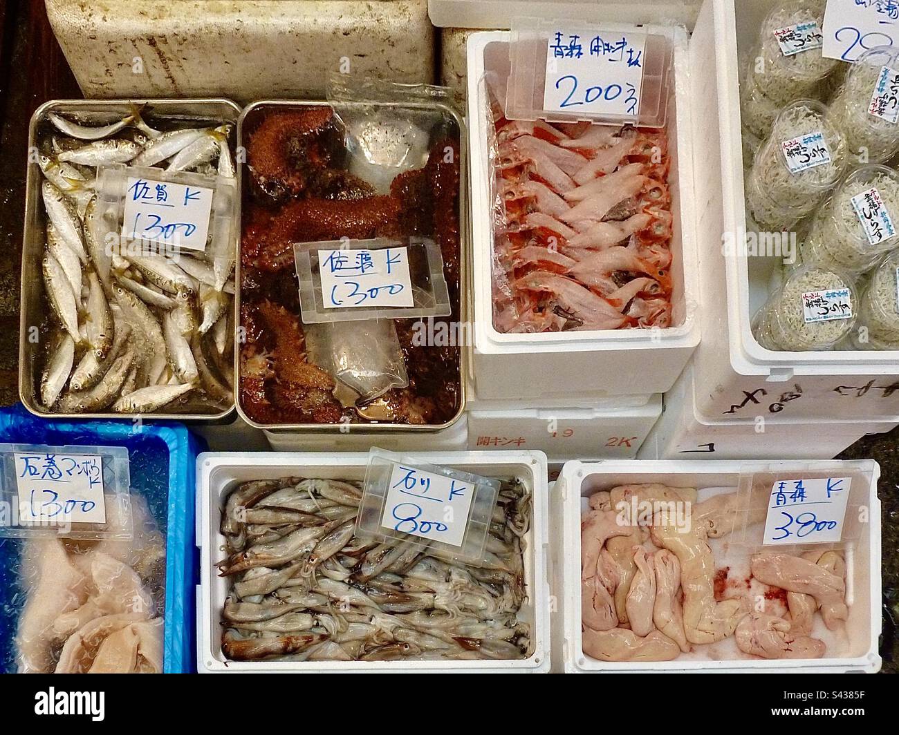 Inside the japanese fish market hi-res stock photography and images - Alamy