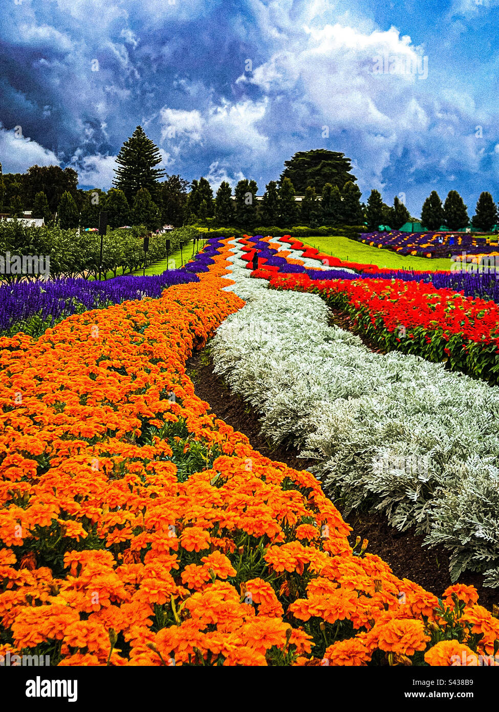 Flowers and waves hi-res stock photography and images - Alamy