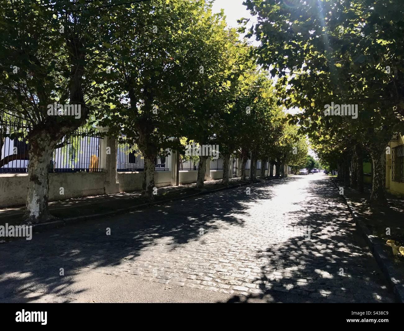 Shaded trees hi-res stock photography and images - Alamy