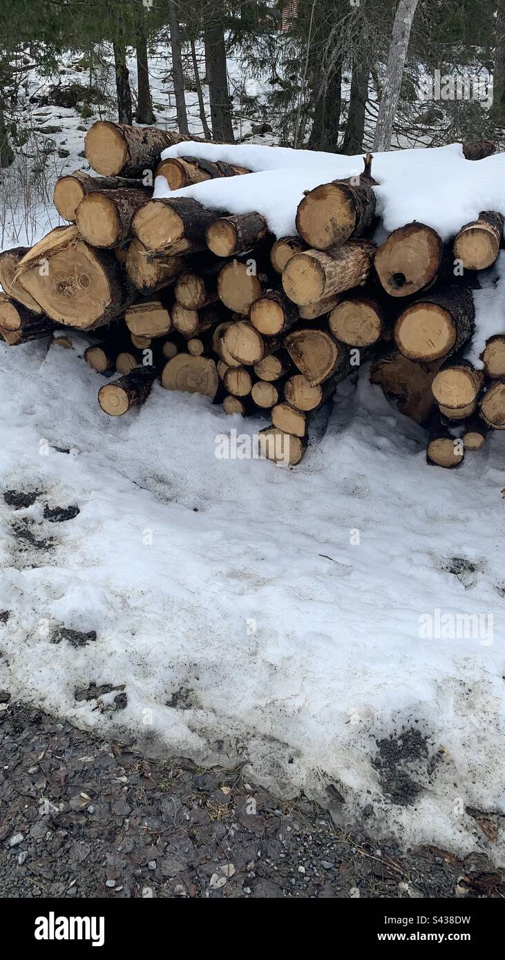 Useful timber hi-res stock photography and images - Alamy