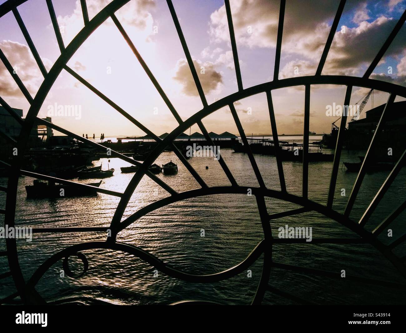 Grid beautiful hi-res stock photography and images - Alamy