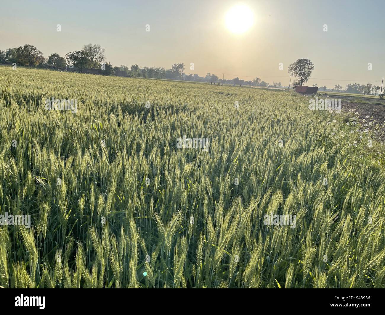 Rural beauty hi-res stock photography and images - Alamy