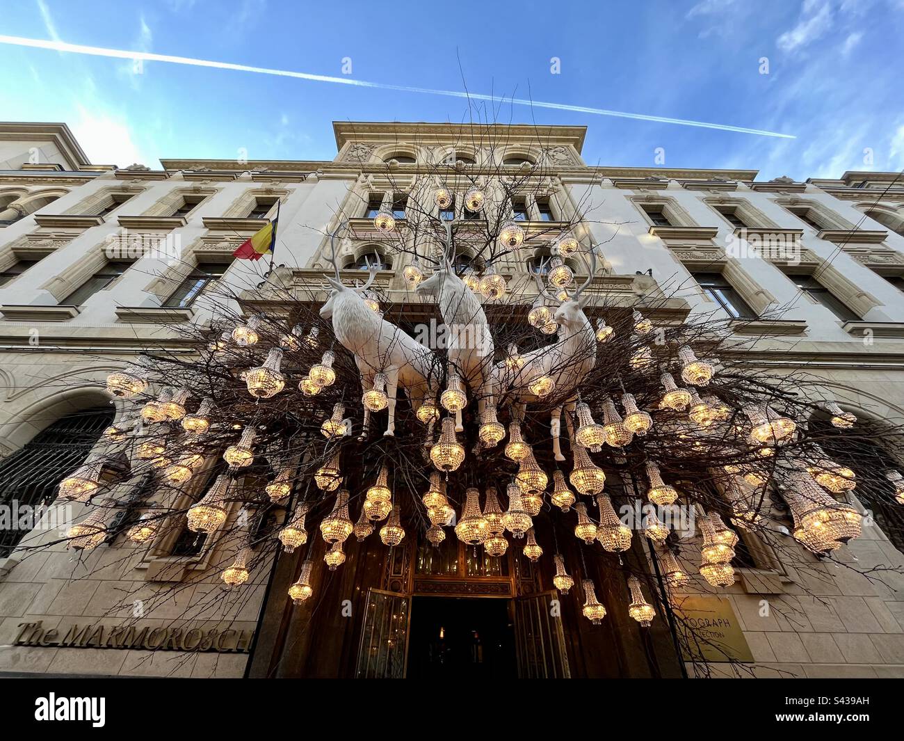 Marmorosch hi-res stock photography and images - Alamy