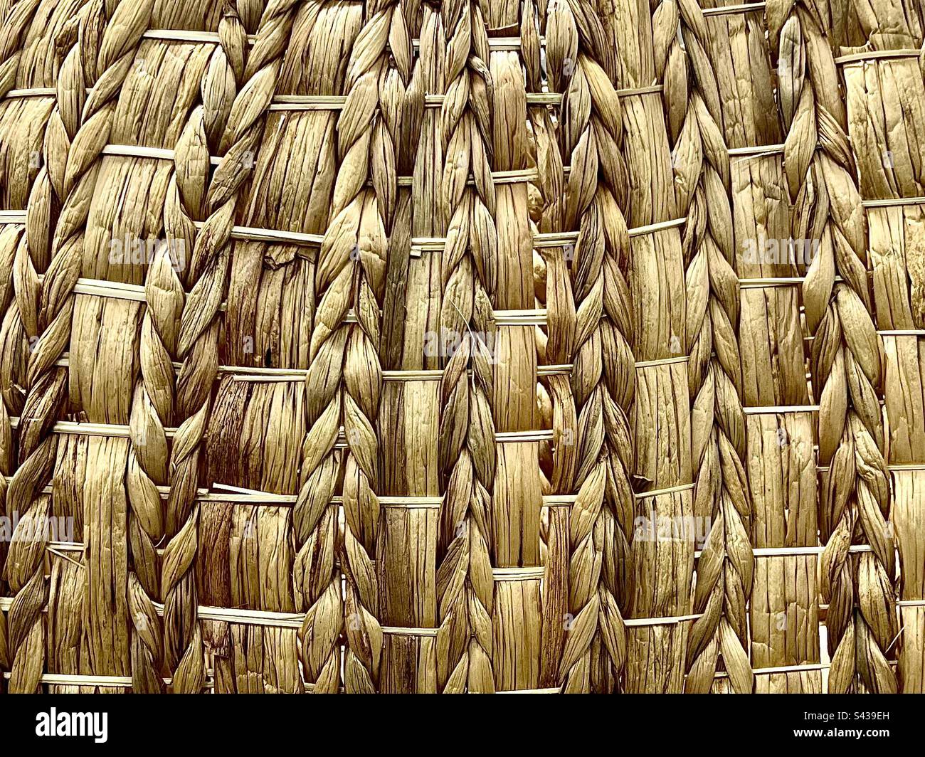 Braided grass hi-res stock photography and images - Alamy