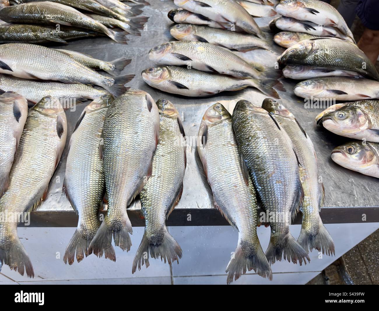Manaus fish market hi-res stock photography and images - Alamy