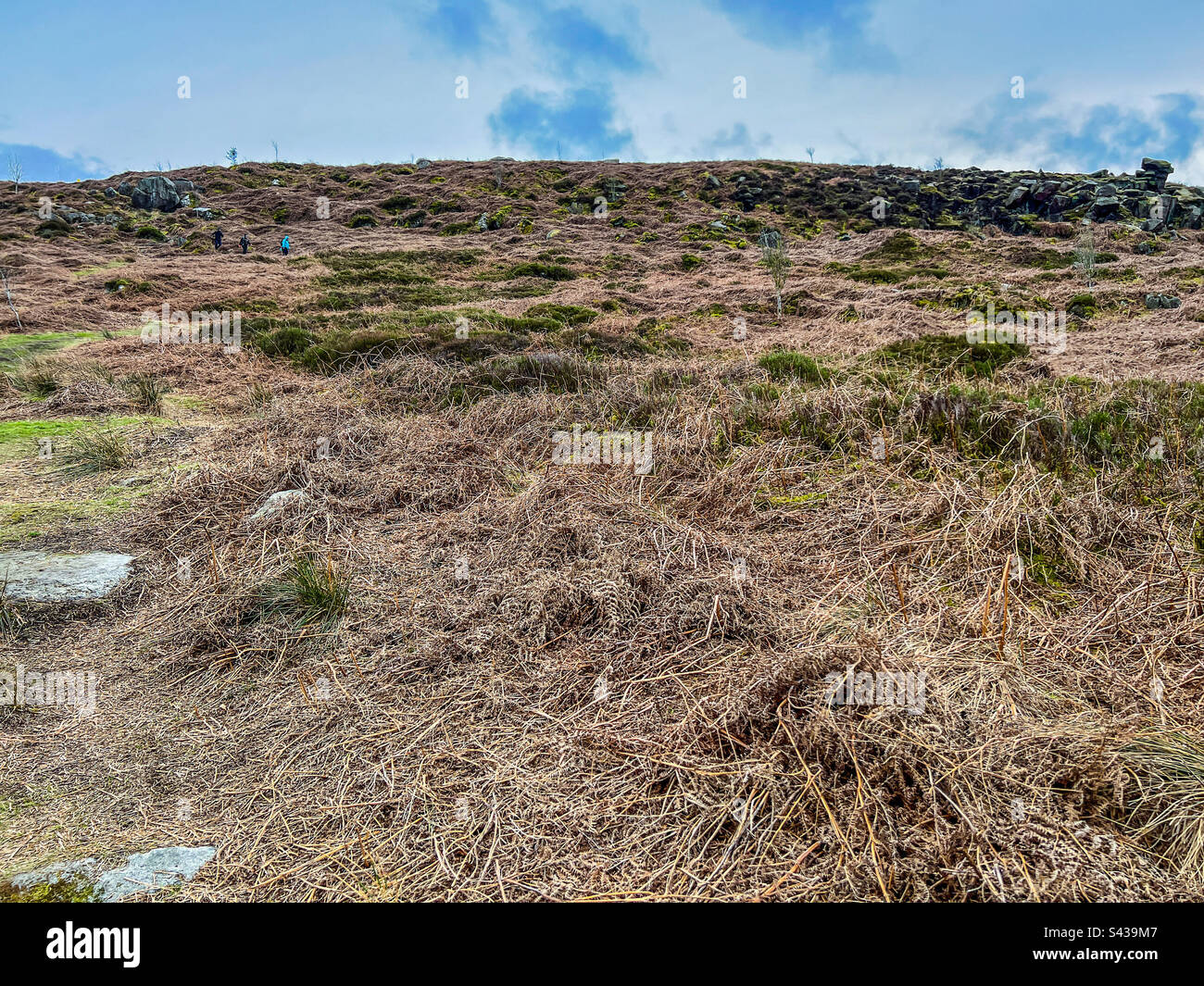 Ilkley moor countryside in North York moors Stock Photo - Alamy