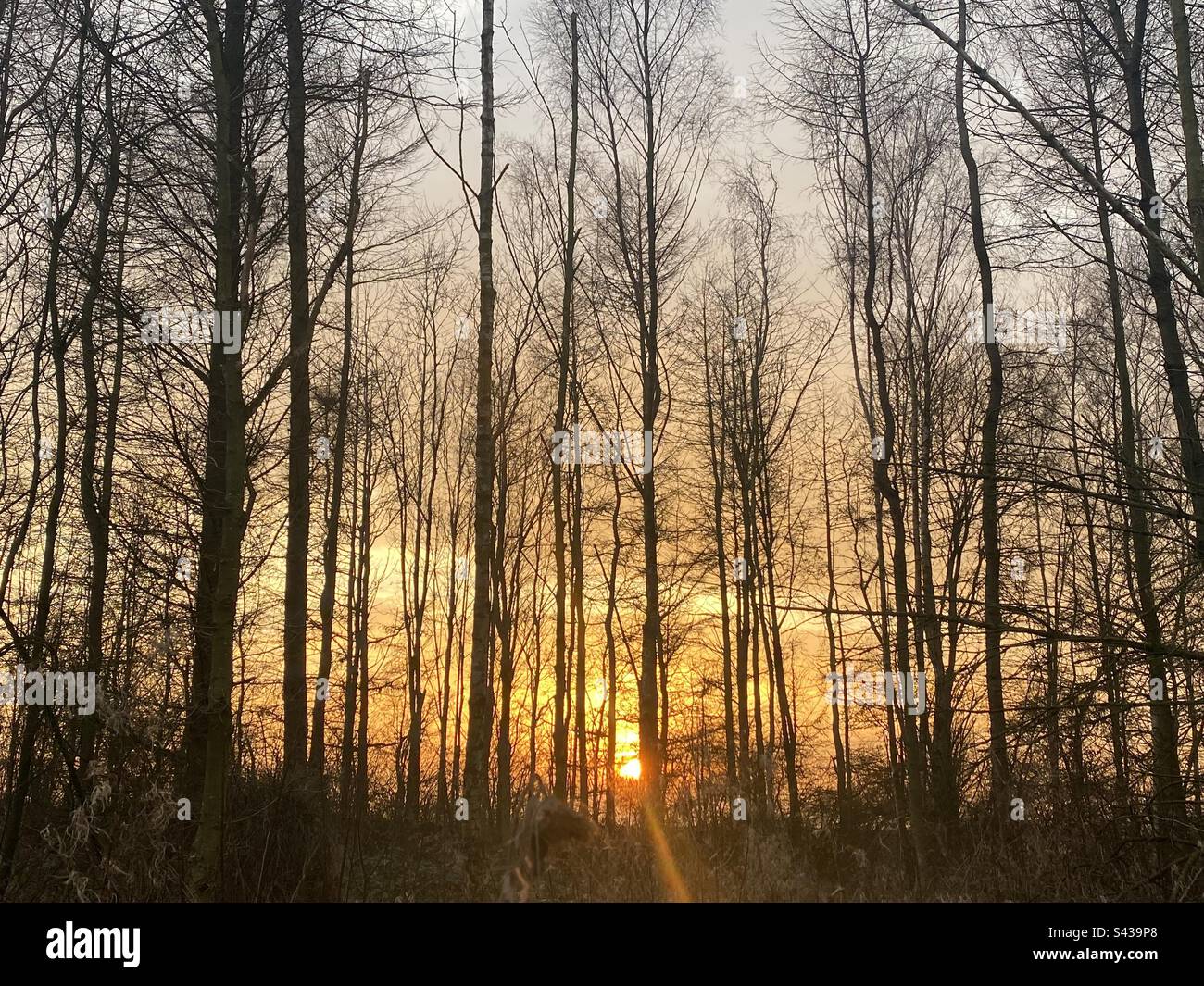 Spring evening walk hi-res stock photography and images - Alamy
