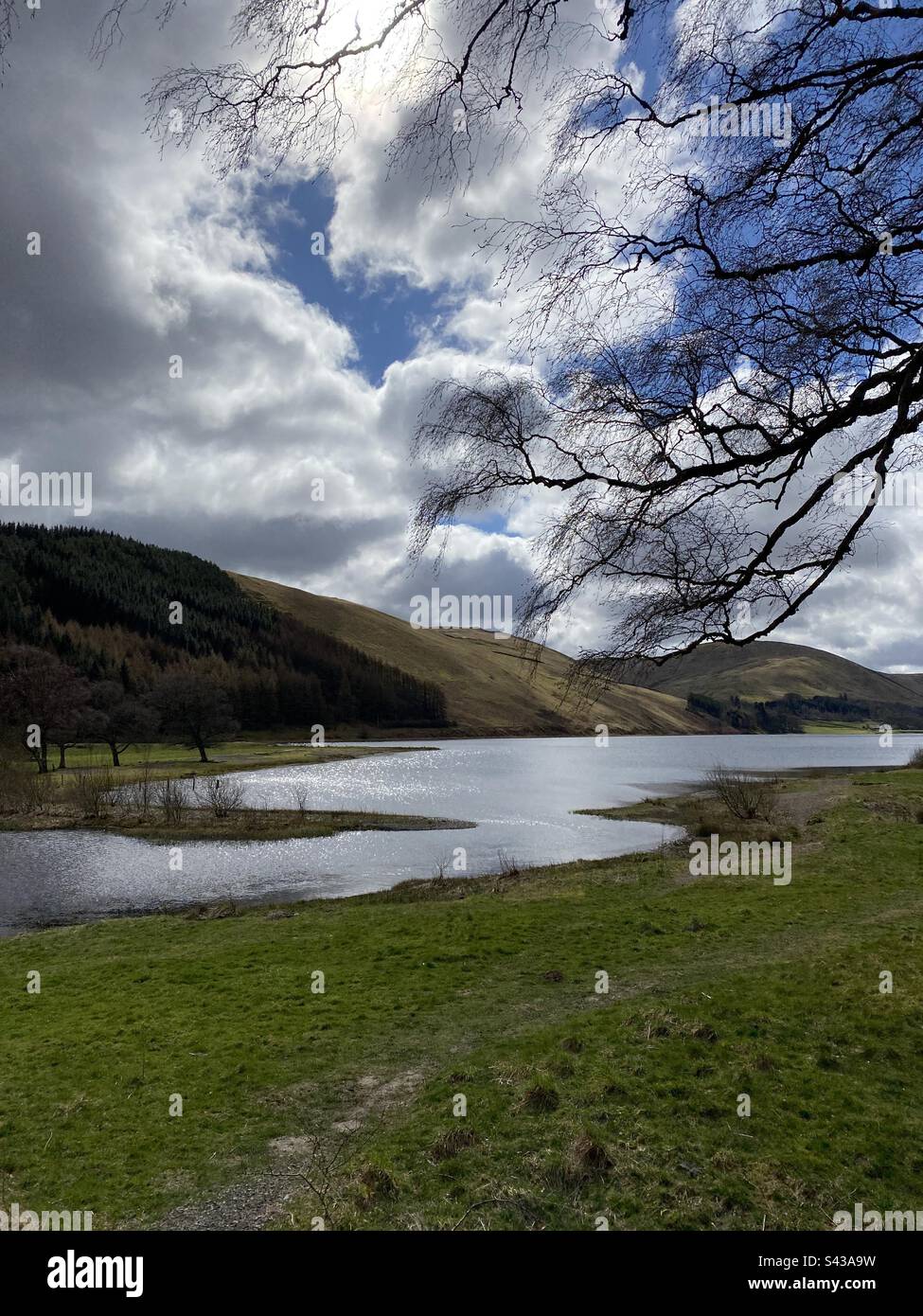 St marys loch hi-res stock photography and images - Alamy
