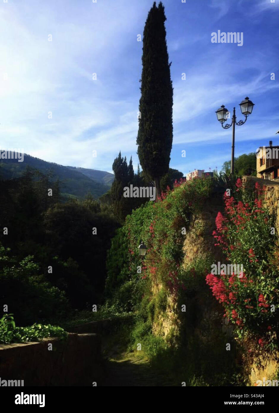 Collodi castello hi-res stock photography and images - Alamy