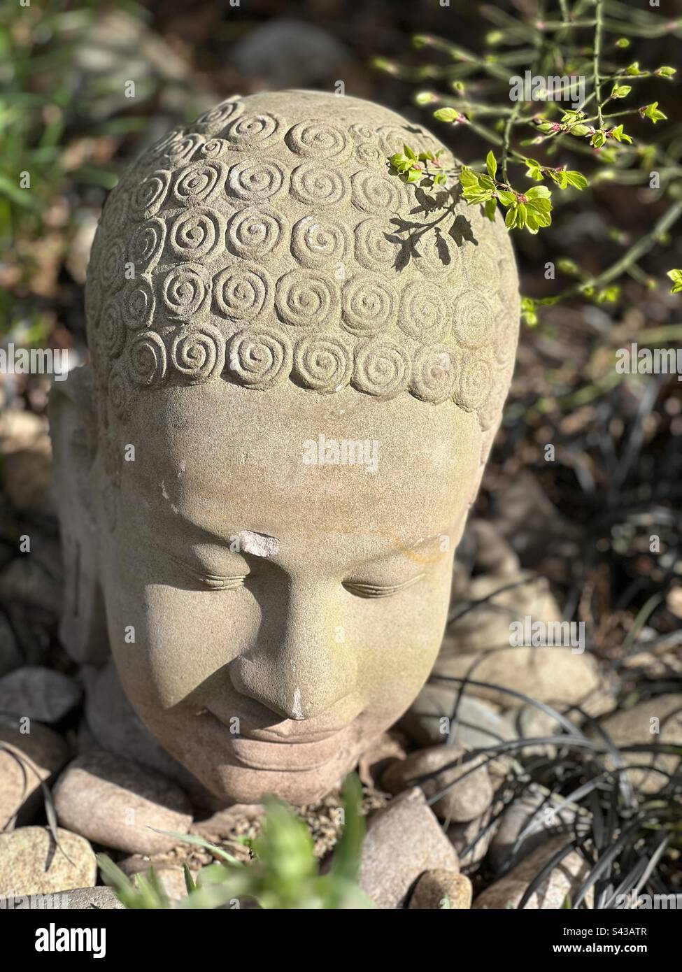 Reflective head hi-res stock photography and images - Alamy