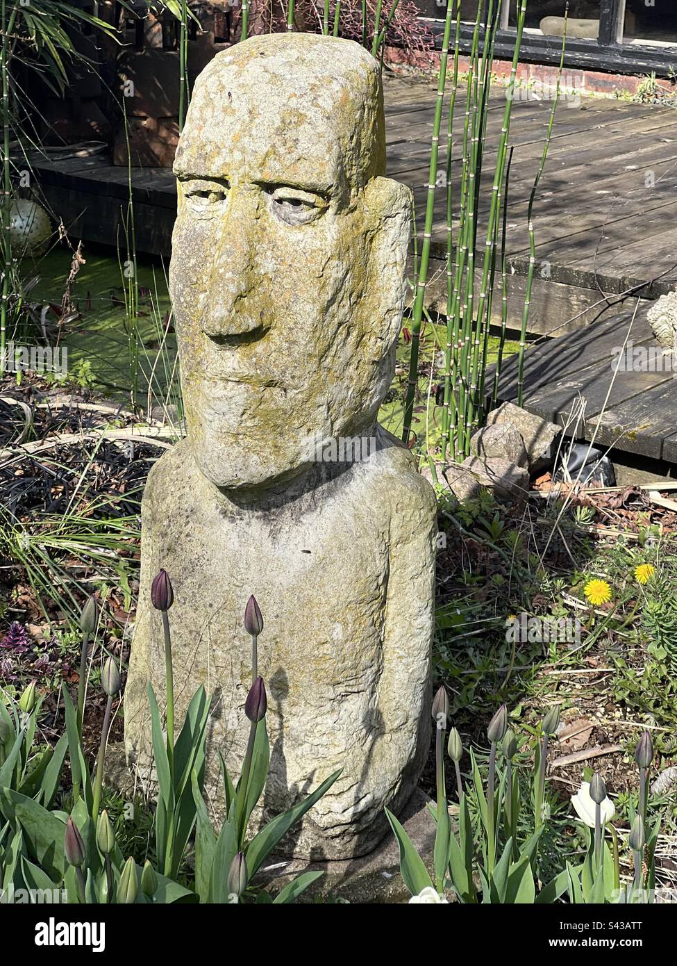 Stone head statue with green algae surrounded by spring flowers Stock ...