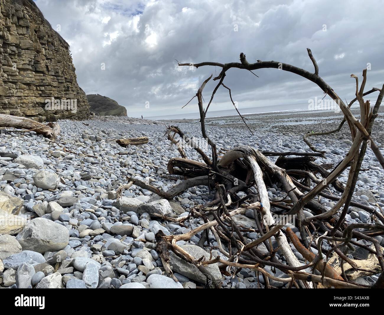 Driftwood on beach Stock Photo - Alamy