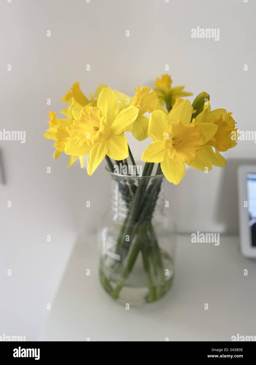 Lab style vase hi-res stock photography and images - Alamy
